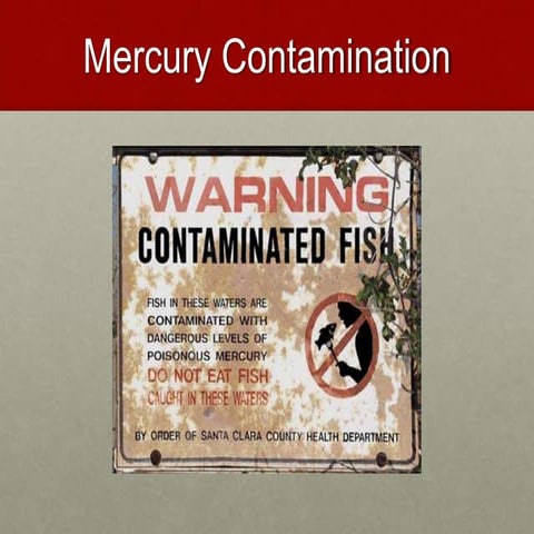 Mercury Contamination | PPTX