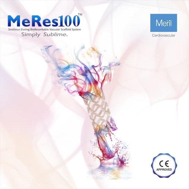 MeRes100 Bioresorbable Scaffolds Brochure | PDF