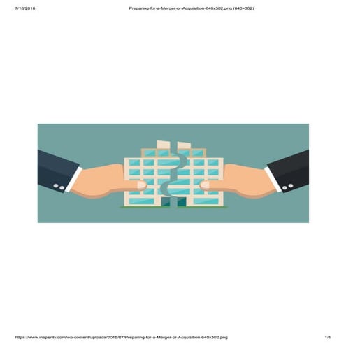 Merger | PDF
