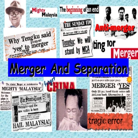 Merger | PPT | Business | Business and Finance