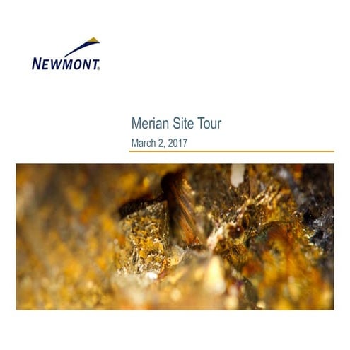 Merian investor presentation final | PDF