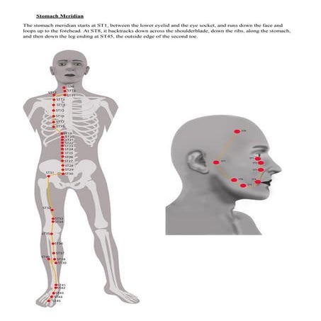 Meridians | PDF