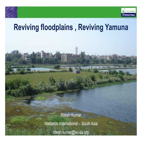 Reviving floodplains, Reviving the Yamuna River, India | PDF