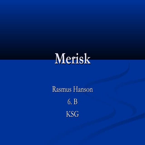 Merisk | PPT