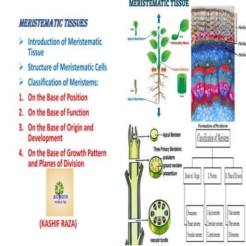 MERISTEMS TISSUE AND ITS CLASSIFICATION.pdf