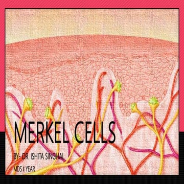 Merkel cells | PPTX