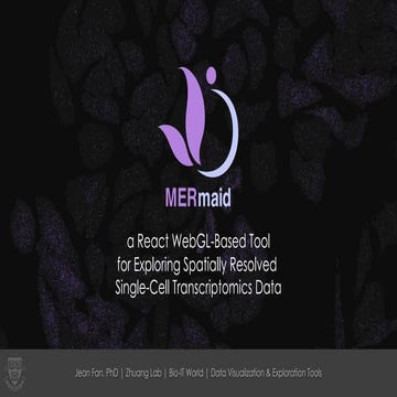 MERmaid - a React WebGL-Based Tool for Exploring Spatially Resolved Single-Cell Transcriptomics ...