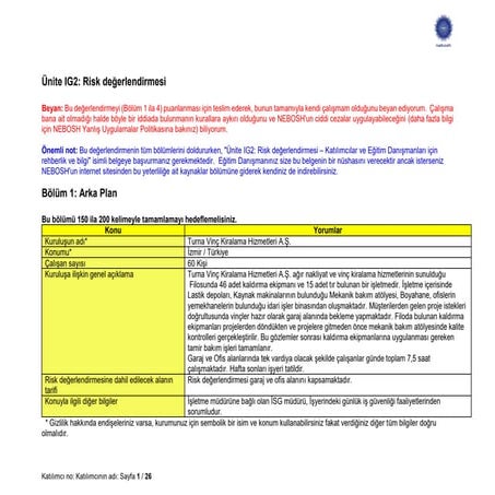 IG2 Risk Assessment.for any copany .docx