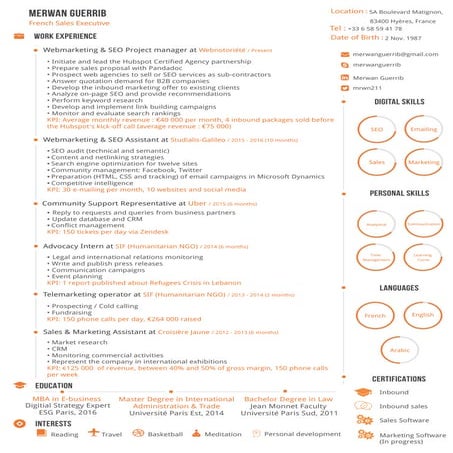 Merwan Guerrib - French Sales Executive | PDF