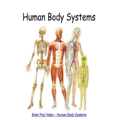 body systems | PPT