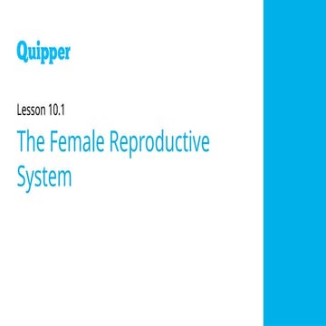 Female Reproductive System Grade 10 - PPT | PPTX