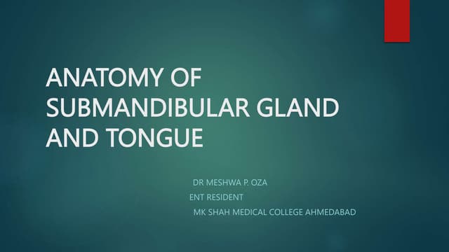anatomy of submandibular region presentation | PPTX