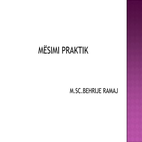 Mesimi praktik 8 | PPT