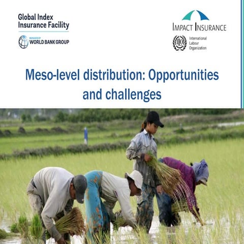 Webinar on Meso-level distribution: Opportunities and challenges | PPTX