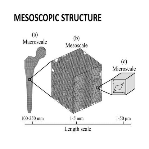 MESOSCOPIC STRUCTURE.pptx