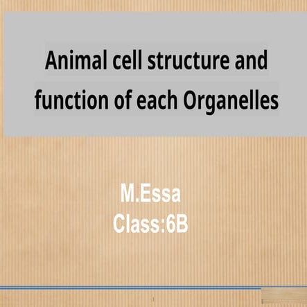 Animal cell introduction for six grade students | PPT