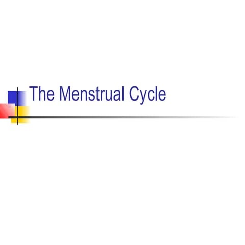 Mestrual cycle in humans | PPT