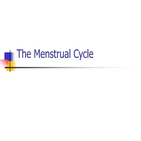 Menstrual Cycle | PPTX