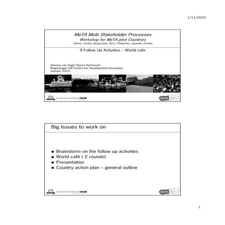 MeTA MSP workshop: Follow up activities - World Cafe | PDF