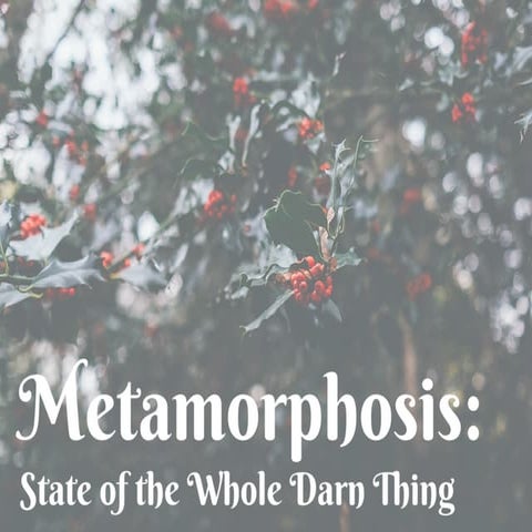 Metamorphosis | PDF