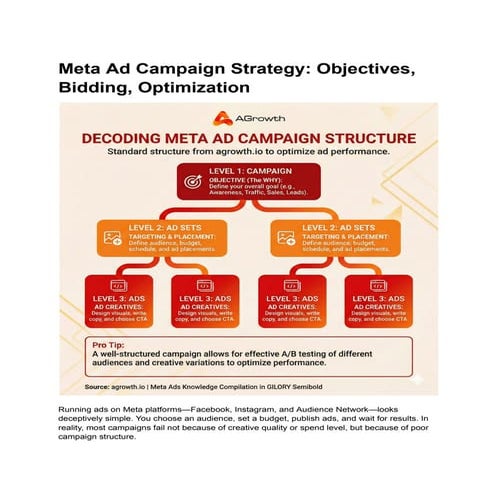 Meta Ad Campaign Strategy: Objectives, Bidding, Optimization | PDF