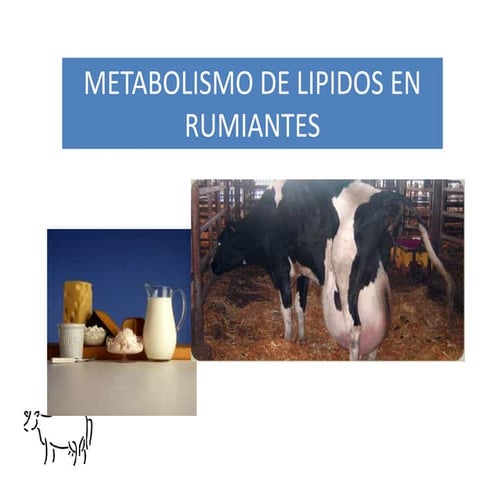 metab-lipidos-rumiantes-2012-i.pdf