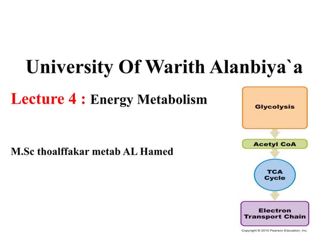 Metabolism- Biochemistry | PPT