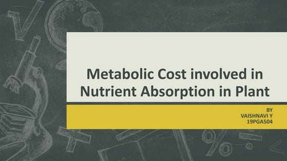 Mechanism of nutrient uptake in plants | PPTX | Chemistry | Science