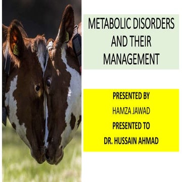 Metabolic disorders of cow by DVM student Hamza Jawad | PPTX