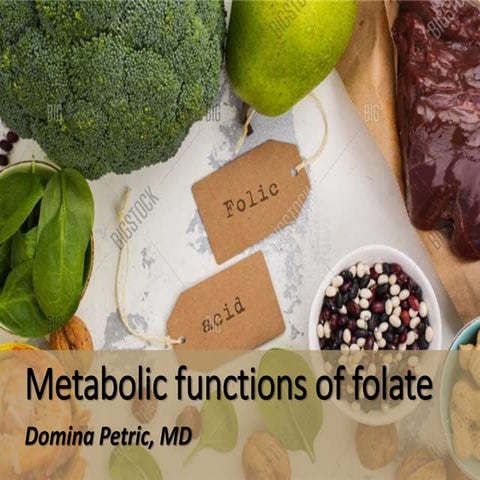 Metabolic functions of folate | PPSX