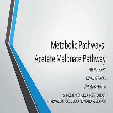 Acetate mevalonate pathway