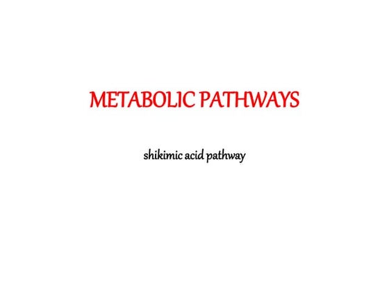 Shikimik acid pathway | PPTX