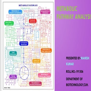 Metabolic Pathways Analysis Pdf