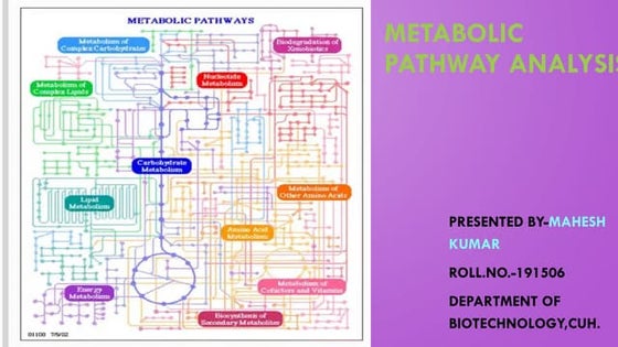 section 2 protein production and its strategies | PPT