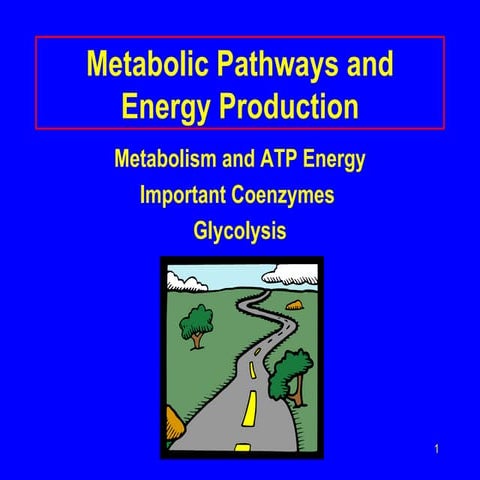 Metabolic pathways and energy production | PPT