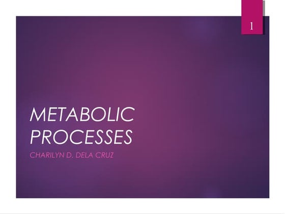 Introduction to metabolism | PPT