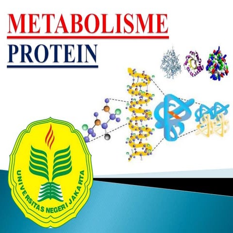 METABOLISME PROTEIN | PPT