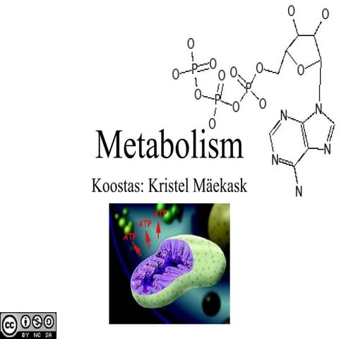 Metabolism | PPT