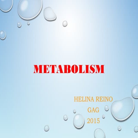 Metabolism | PPT