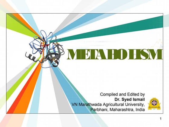 Introduction to metabolism | PPT