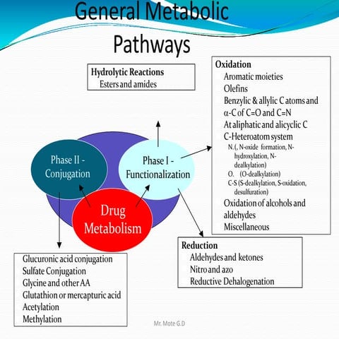 Medicinal chemistry on metabolism(Phase I & Phase II Reactions) | PDF