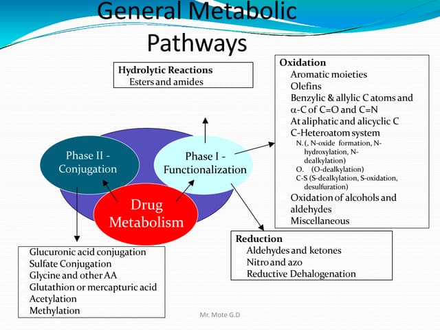 Enzyme Induction and Inhibition: Mechanisms, Examples & Clinical ...