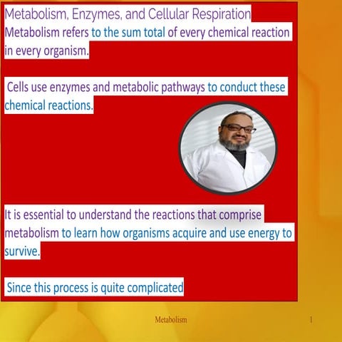 Introduction to metabolism | PPT