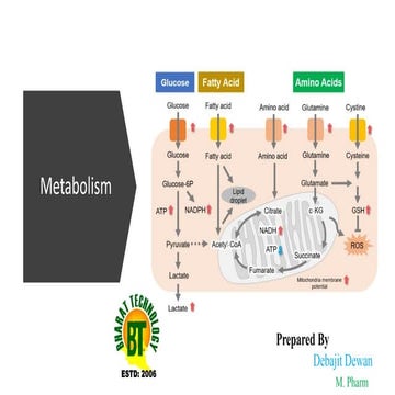 Metabolism.pdf unit 1 biochemistryb pharm 1st year | PPT | Free Download