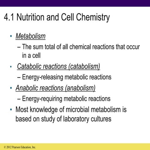 metabolism (1).ppt