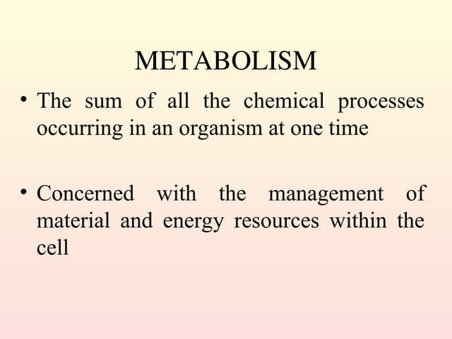 Introduction to metabolism | PPT