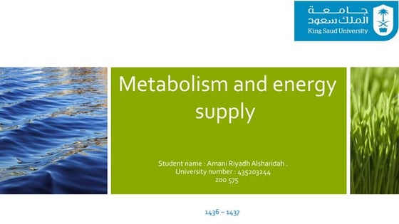 Introduction to metabolism | PPT