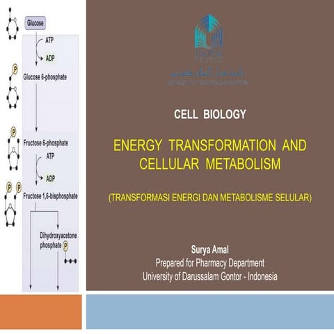 Energy Transformation and Cellular Metabolism | PPTX