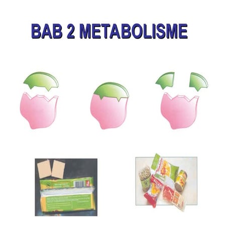 Metabolisme biologi, metabolisme biologi | PPT
