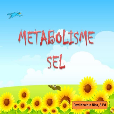 Materi Biokimia Kelas XII : metabolisme sel .ppt